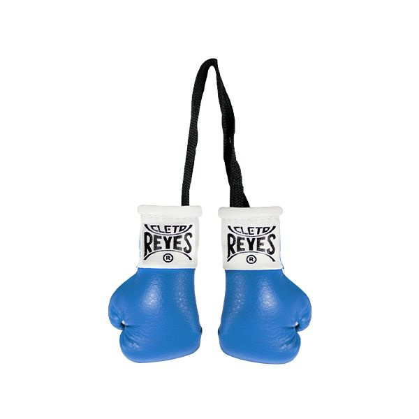 Мини-перчатки боксерские Cleto Reyes Mini Glove Pair, синие купить на ...
