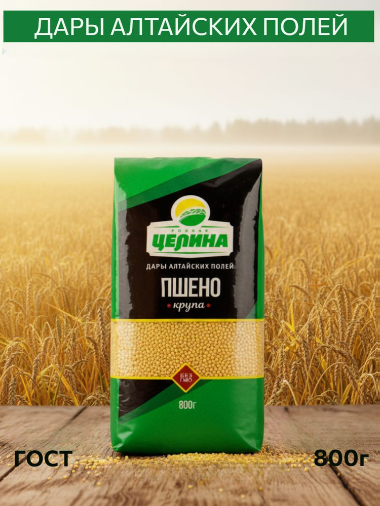 Пшено 800г шлифованное, ГОСТ, отборное купить на OZON по низкой цене ...