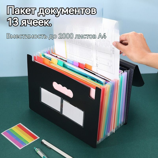 Папка A4 (21 × 29.7 см), 1 шт. купить на OZON по низкой цене (2944157228)