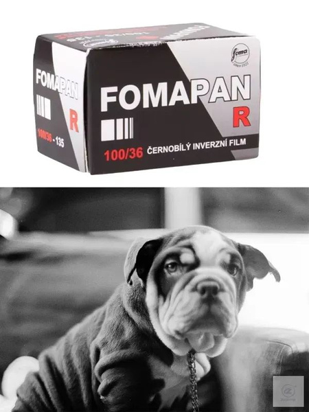 1 Roll Fomapan R100 135 мм черно-белая обратная пленка ISO 100, 36 ...