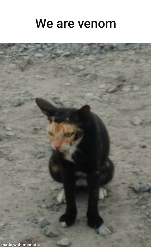 Эмалированное покрытие, Можно использовать в СВЧ-печи I LOVE MY "Я ...