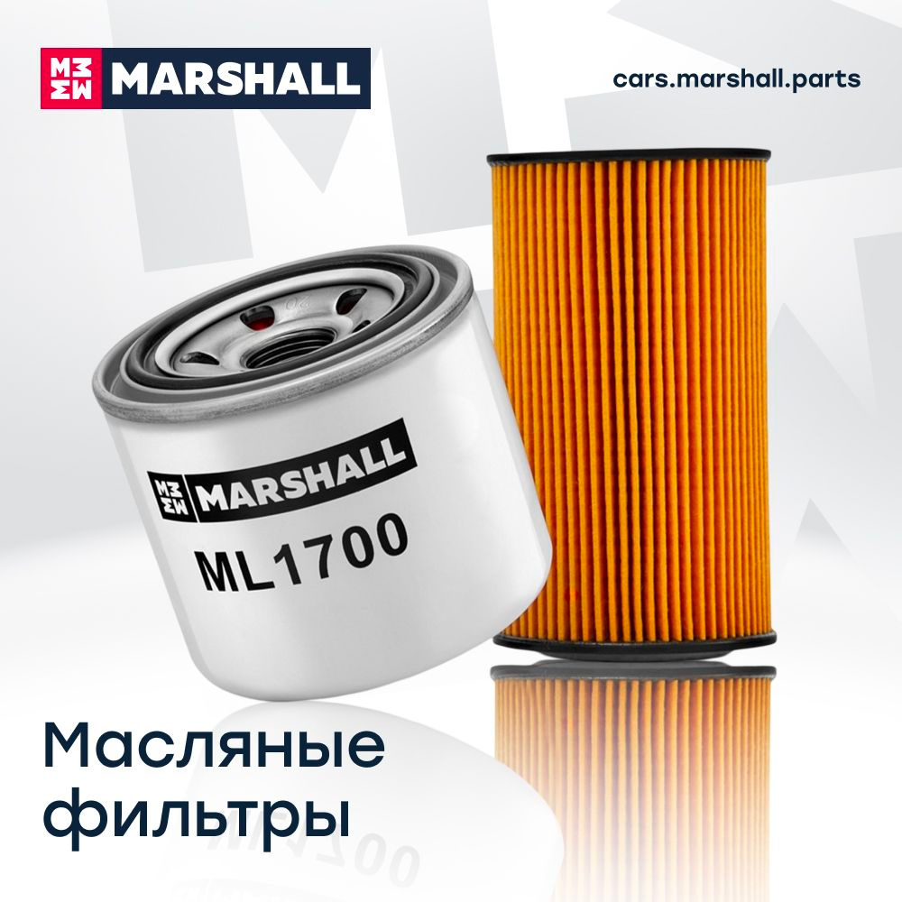 Фильтр масляный Chevrolet Шевроле Aveo Авео, Cruze Круз, Orlando ...