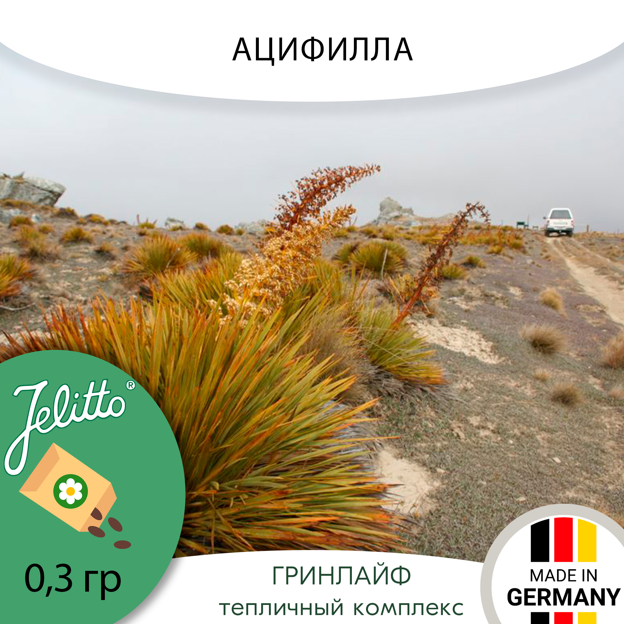 Jelitto Ацифилла_AA066, 0.3 г - купить с бесплатной доставкой в OZON ...