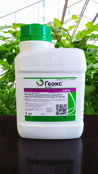 Геокс фунгицид для опрыскивания яблони 1 кг купить на OZON по низкой ...