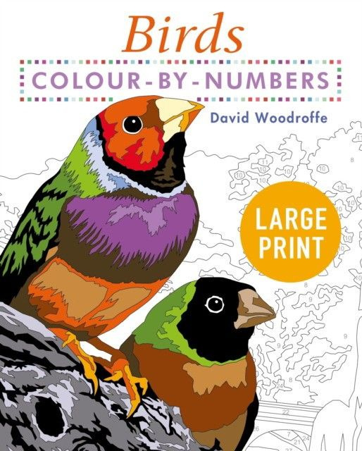 Large Print Colour By Numbers Birds - купить с доставкой по выгодным ...