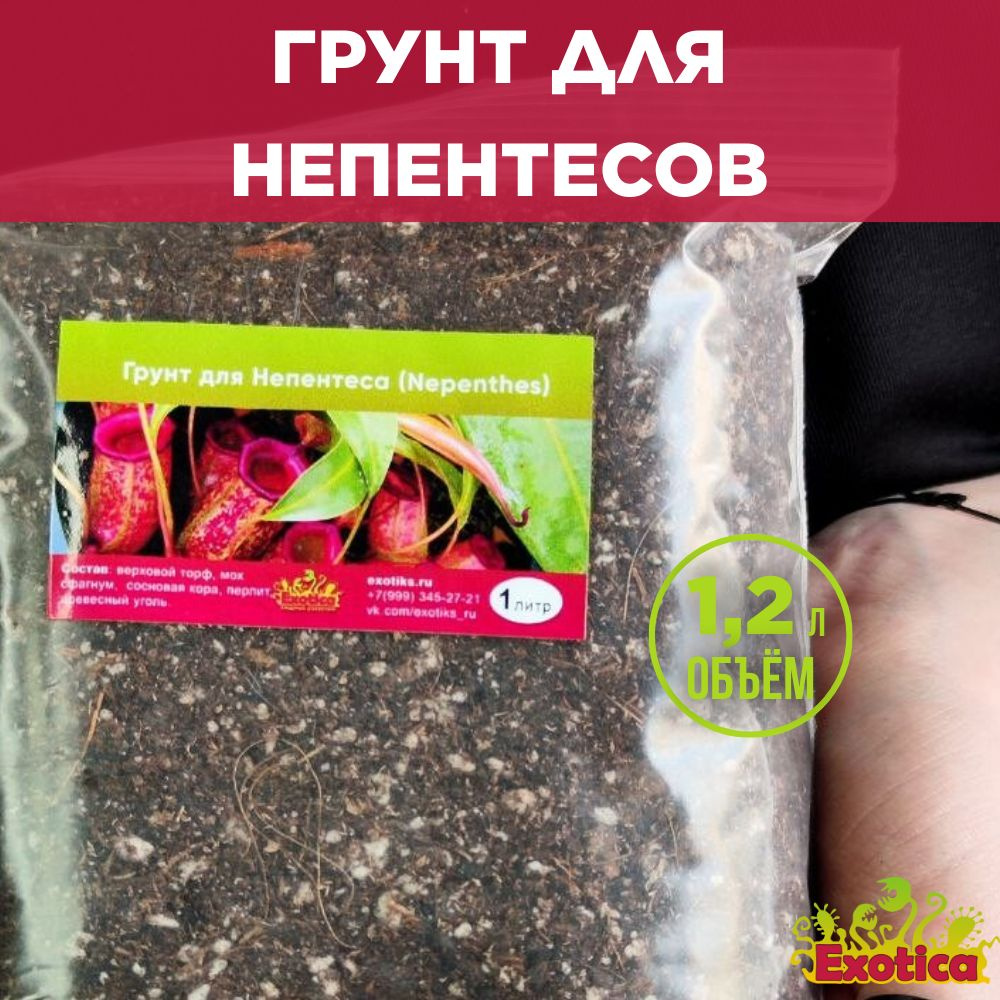 Грунт для непентесов (хищных цветов) 1,2л - купить по низкой цене в ...