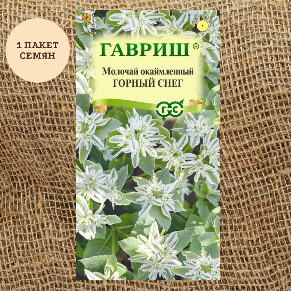 Молочаи, Молочай Гавриш Молочай окаймленный Горный снег 0,5 г - купить ...