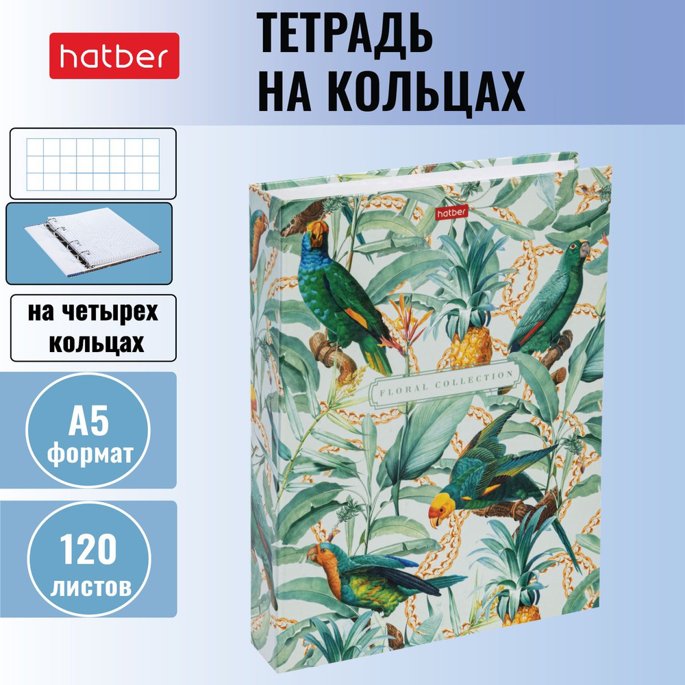 Тетрадь со сменным блоком Hatber 120 листов, формата А5, в клетку, на четырех кольцах, глянцевая ...