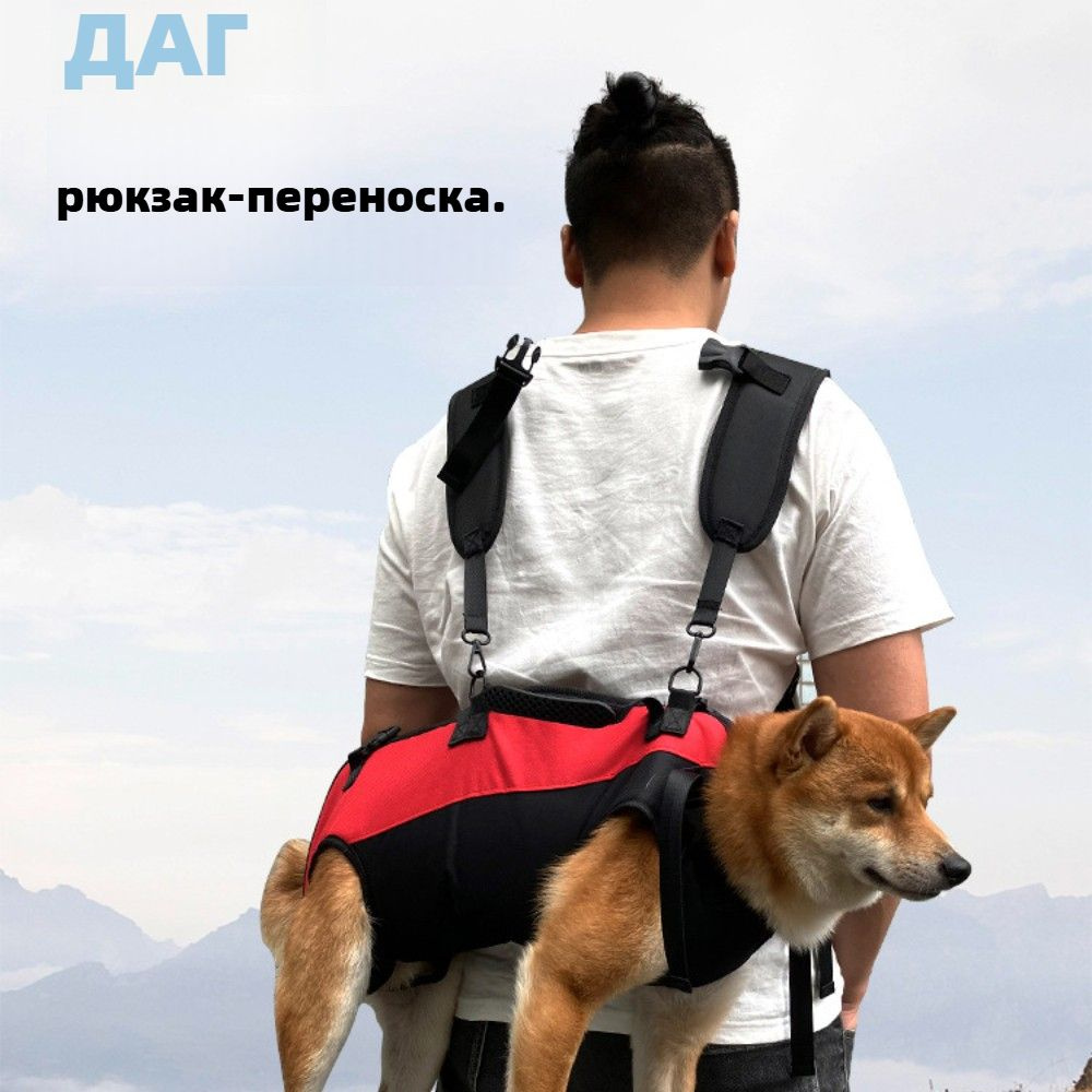 Переноска рюкзак для собак / Рюкзак для домашних животных,материал ...