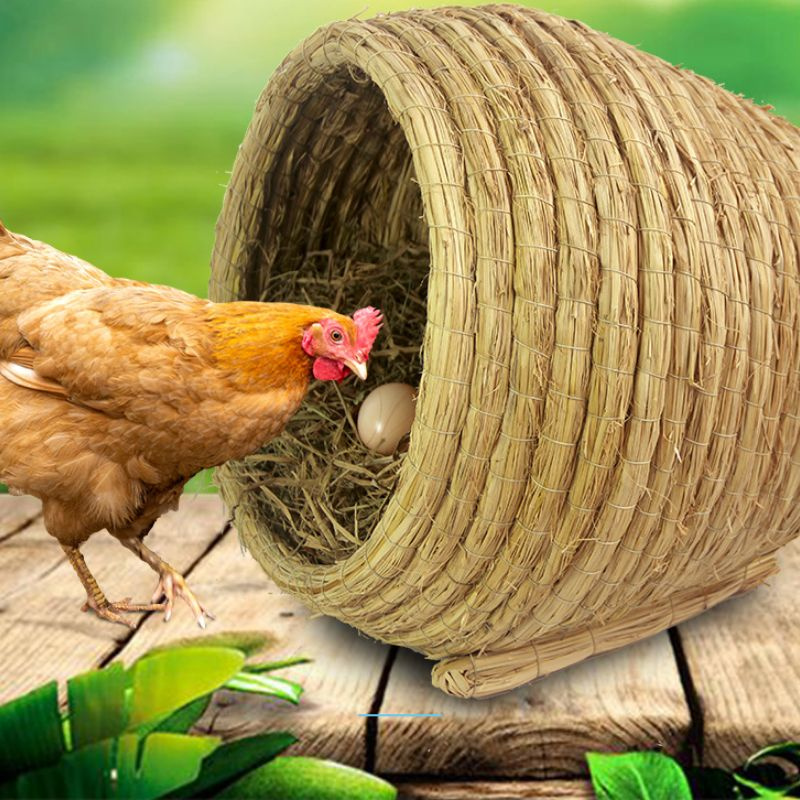 гнездо для кур несушек 45x30cm купить на OZON по низкой цене (1900995200)