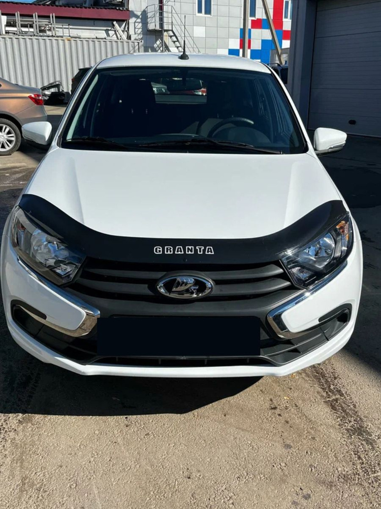 Гранта фл мухобойка купить на OZON по низкой цене