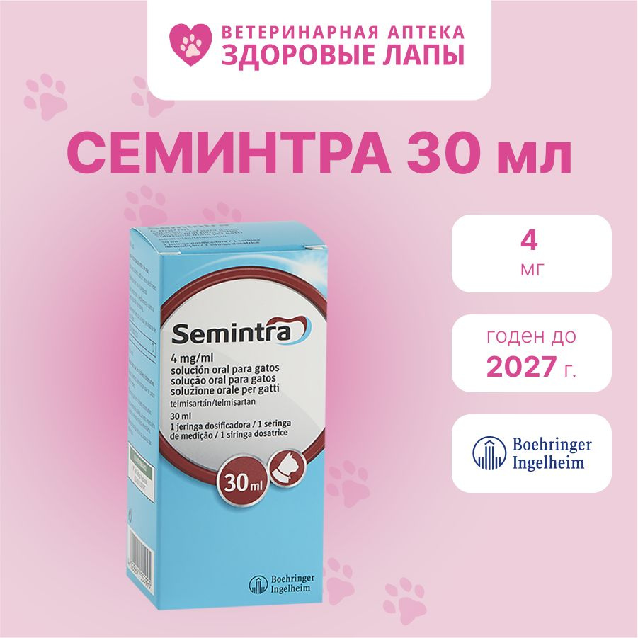 Семинтра (Semintra) 30 мл купить на OZON по низкой цене (2214938345)