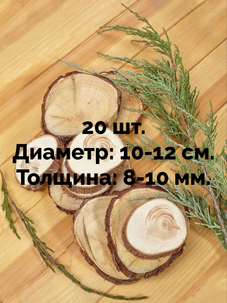 Спилы можжевельника. 10-12 см. купить c доставкой на OZON по низкой ...