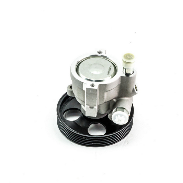 Насос гидроусилителя Renault OEM 491108049R купить на OZON по низкой ...