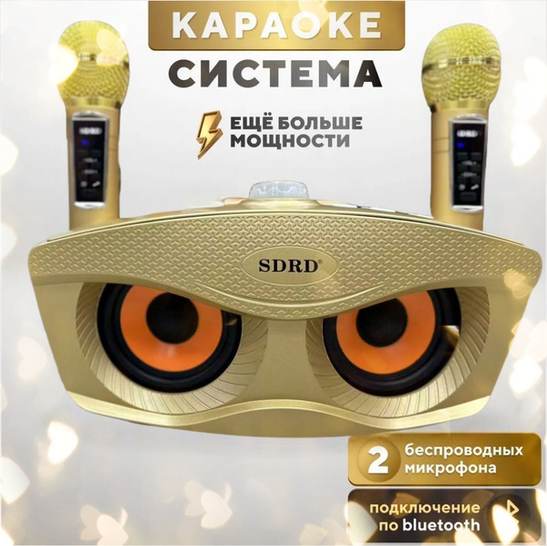 Караоке система беспроводная с двумя микрофонами SDRD SD-306 Plus Серый ...