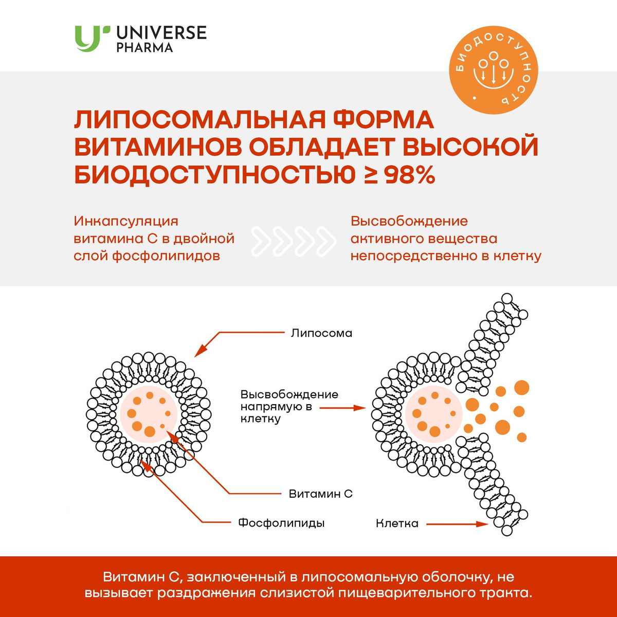Липосомальный витамин С максимальная биодоступность - купить с ...