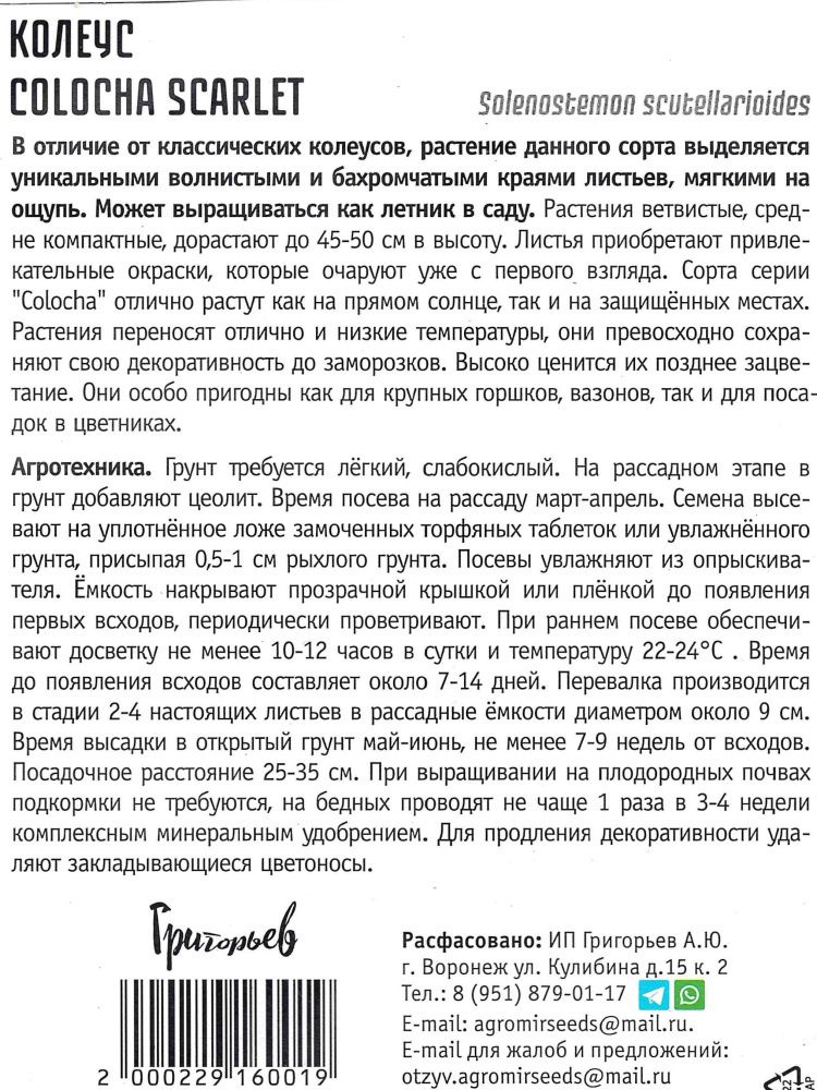 Колеус Григорьев Colocha scarlet - купить с бесплатной доставкой в OZON ...