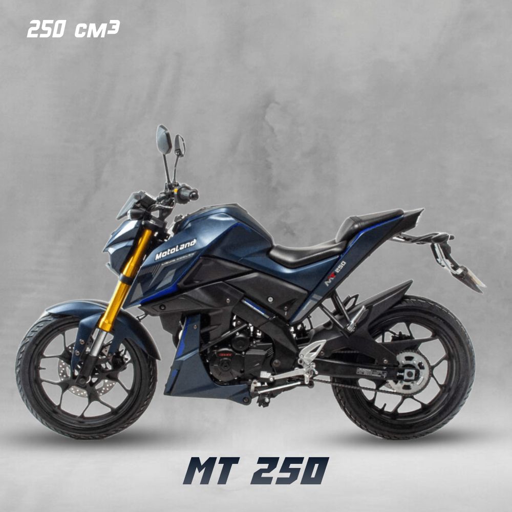 Мотоцикл Motoland 250 MT (172FMM-5/PR250) 250 куб.см. / 21 л.с. / ПТС ...