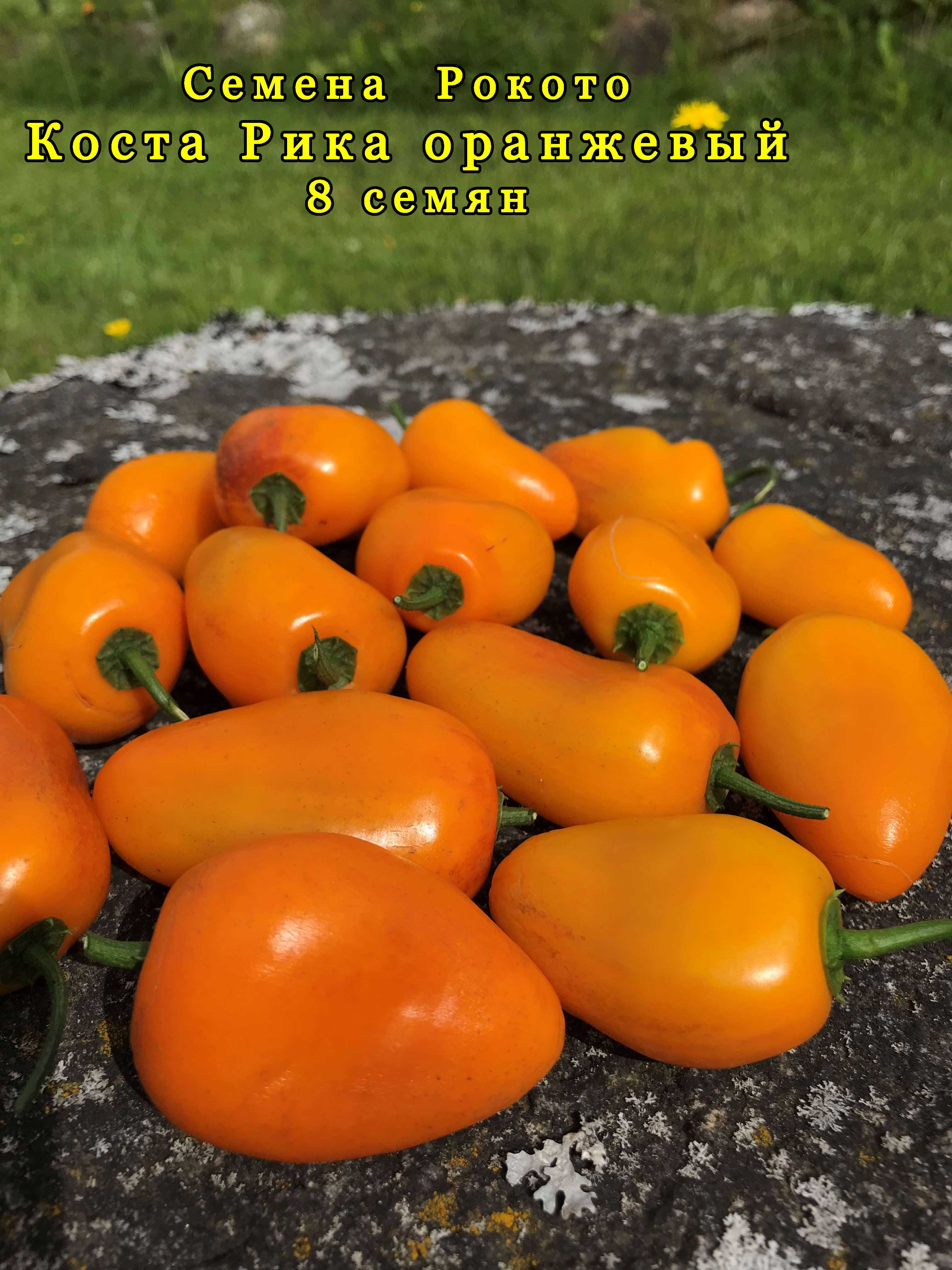 Перец острый Острый перец_красный - купить с бесплатной доставкой в ...