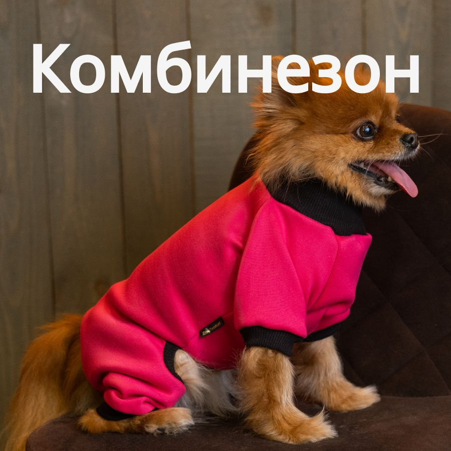 Комбинезон для собак мелких и средних пород и кошек ZooTwoNatiPremium ...
