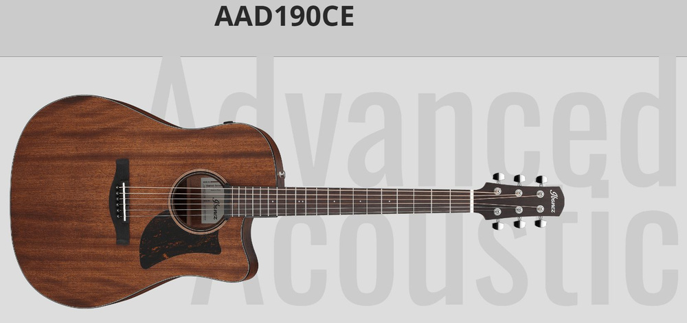 Электрогитара электрическая акустическая гитара Ibanez AAD190CE ...