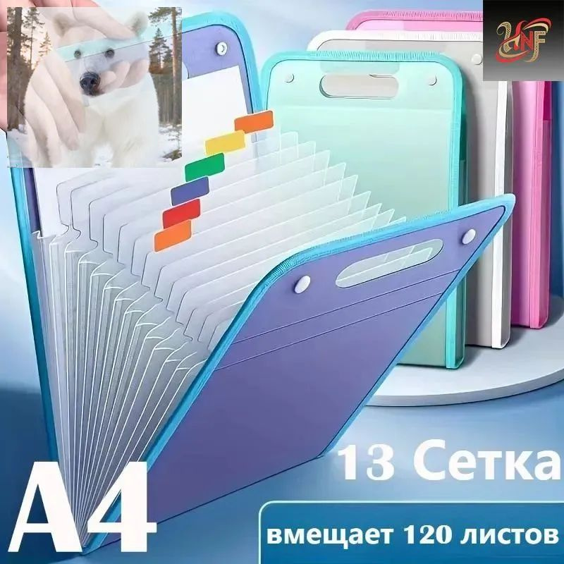 Папка A4 (21 × 29.7 см), 1 шт. купить на OZON по низкой цене (3002048265)