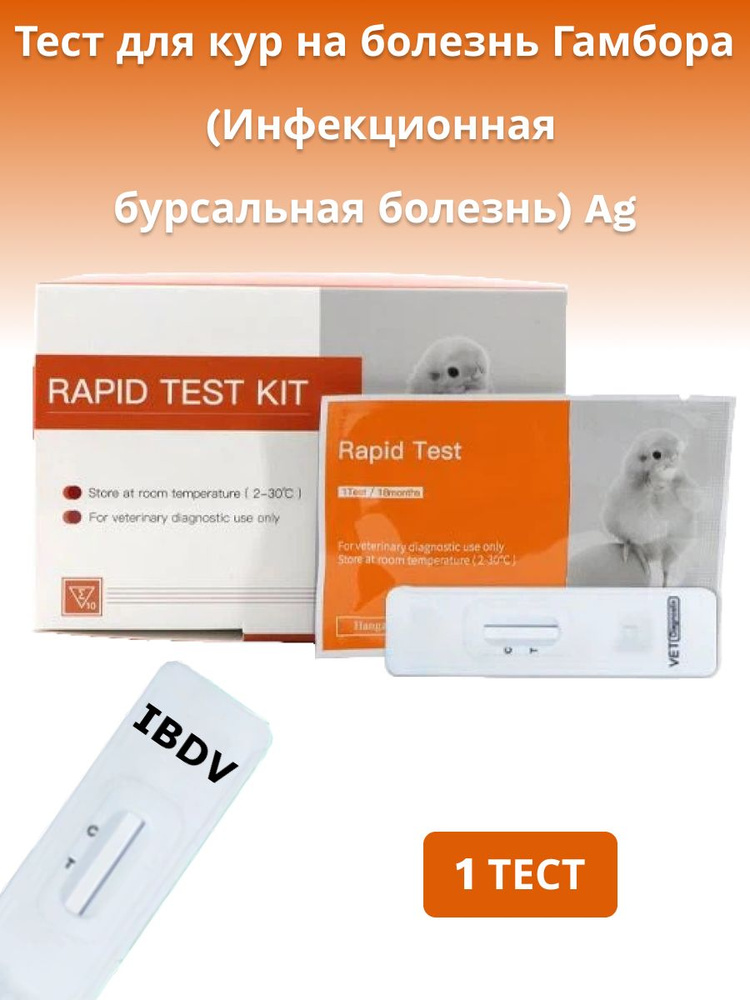 Экспресс-тест на выявление возбудителя болезни Гамбора у кур в образцах ...