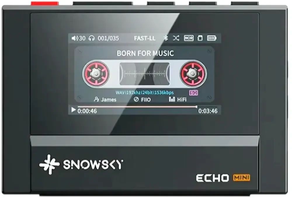 Портативный плеер FiiO SnowSky Echo Mini Black купить на OZON по низкой цене (3275467287)