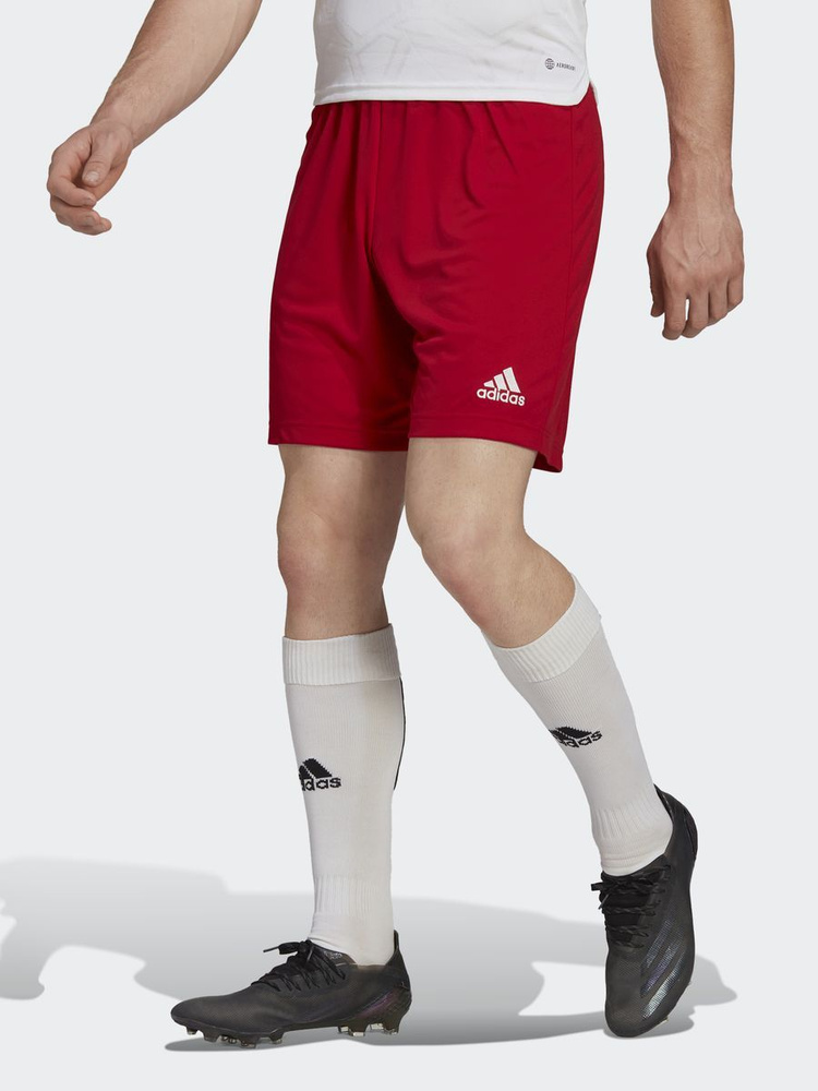 adidas Club Short купить на OZON по низкой цене