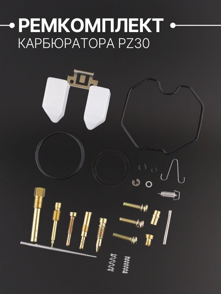 Ремкомплект карбюратора PZ30 купить c доставкой на OZON по низкой цене (2902924809)