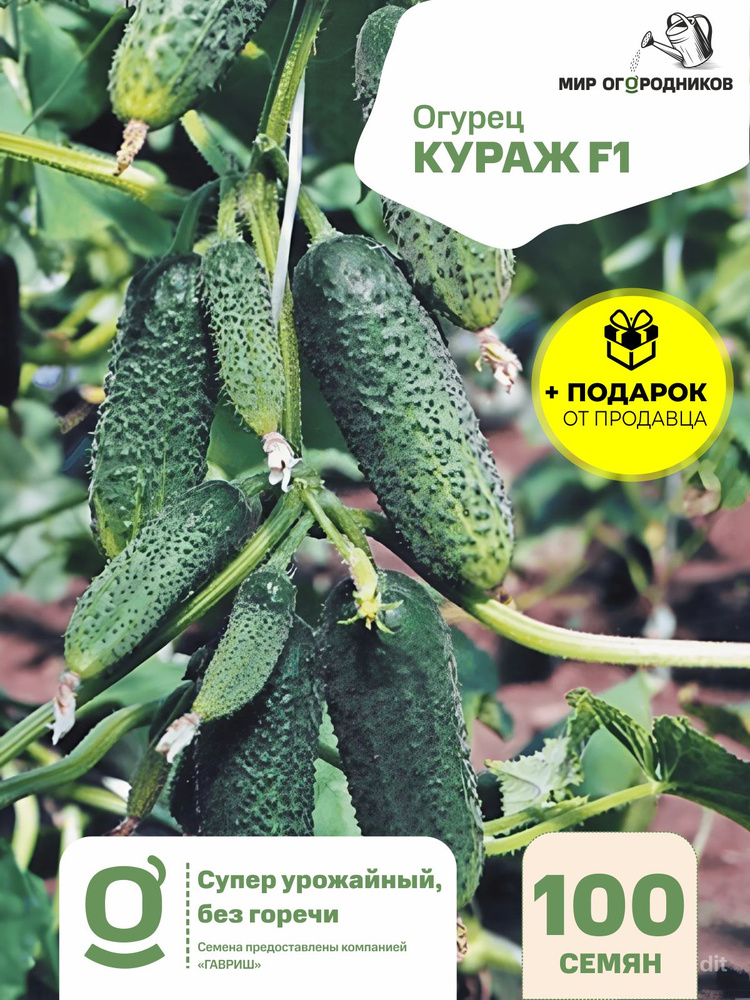 Огурцы For Home And Family Кураж Мир огородников - купить с бесплатной ...