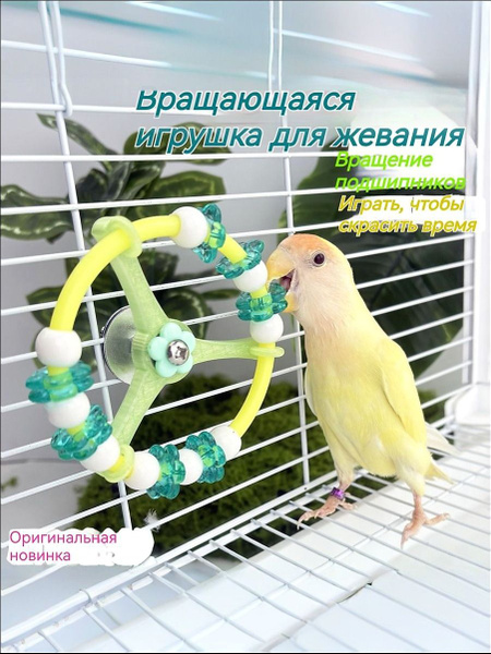 Попугай кусается и играет, чтобы развеять скуку, вращающаяся игрушка ...