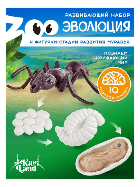 Фигурка животного Муравей, набор Эволюция Kari Land купить на OZON по ...