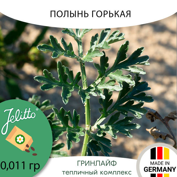Jelitto Полынь горькая, 0.011 г - купить с бесплатной доставкой в OZON ...