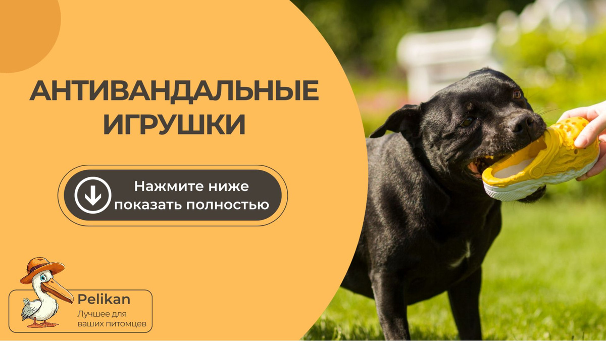 Игрушка для собак средних пород Прочный Тапок крокс грызак антивандальный Petopia купить на OZON ...