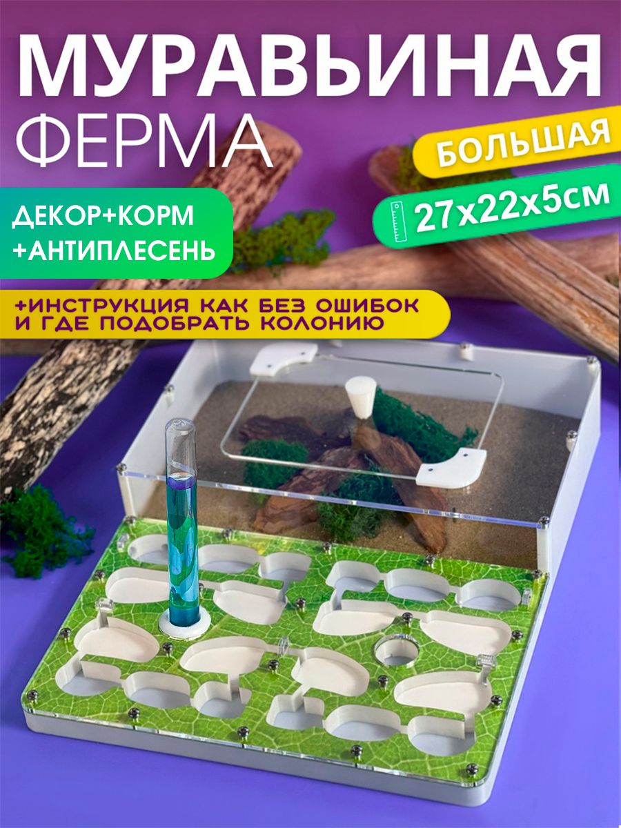 Большая муравьиная ферма AntBerry. ПОЛНЫЙ комплект. Формикарий для ...