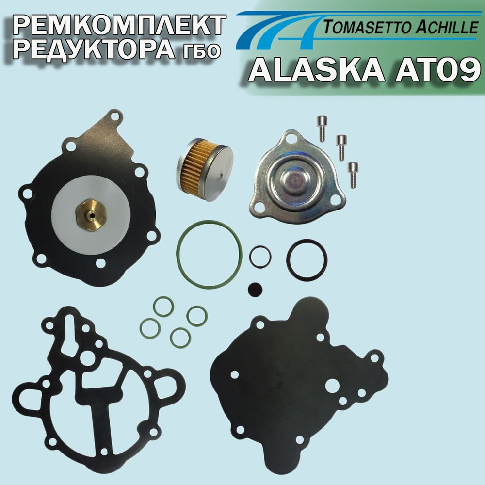 Ремкомплект редуктора ГБО TOMASETTO (Yota) Alaska AT09 - купить с ...