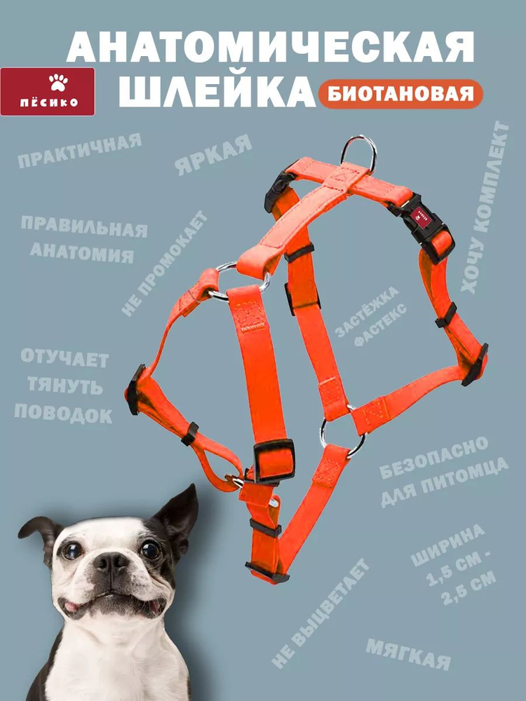 Шлейка для собак анатомическая биотановая купить на OZON по низкой цене ...