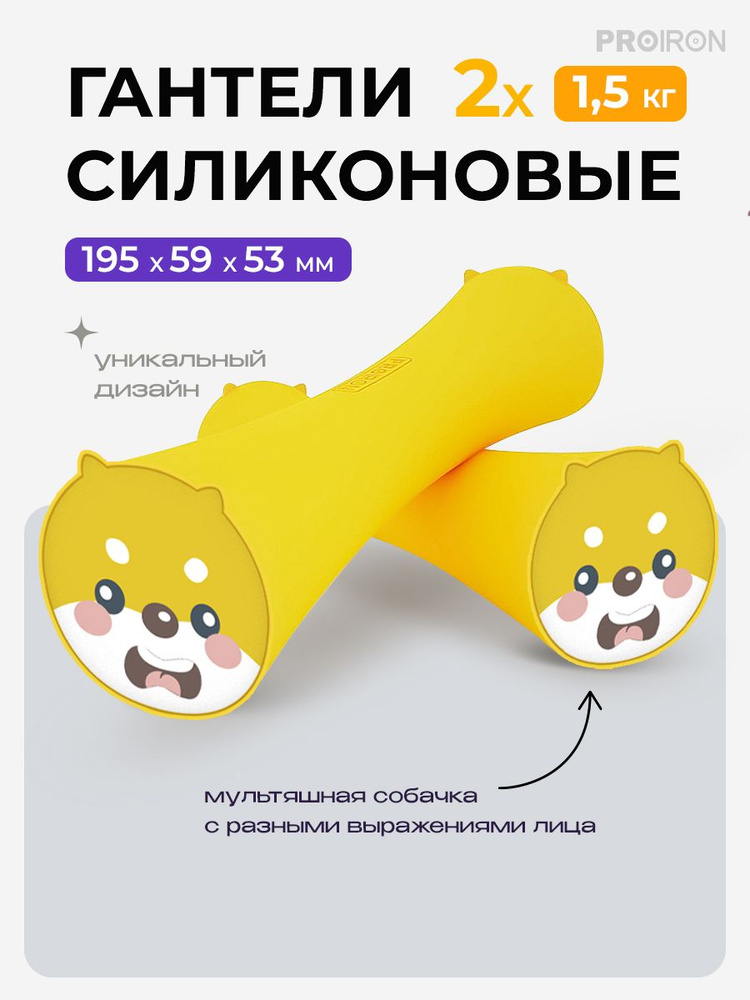 Гантели PROIRON Г20НЕО_зеленый, 2 шт. по 1.5 кг, оранжевый купить c доставкой на OZON по низкой ...