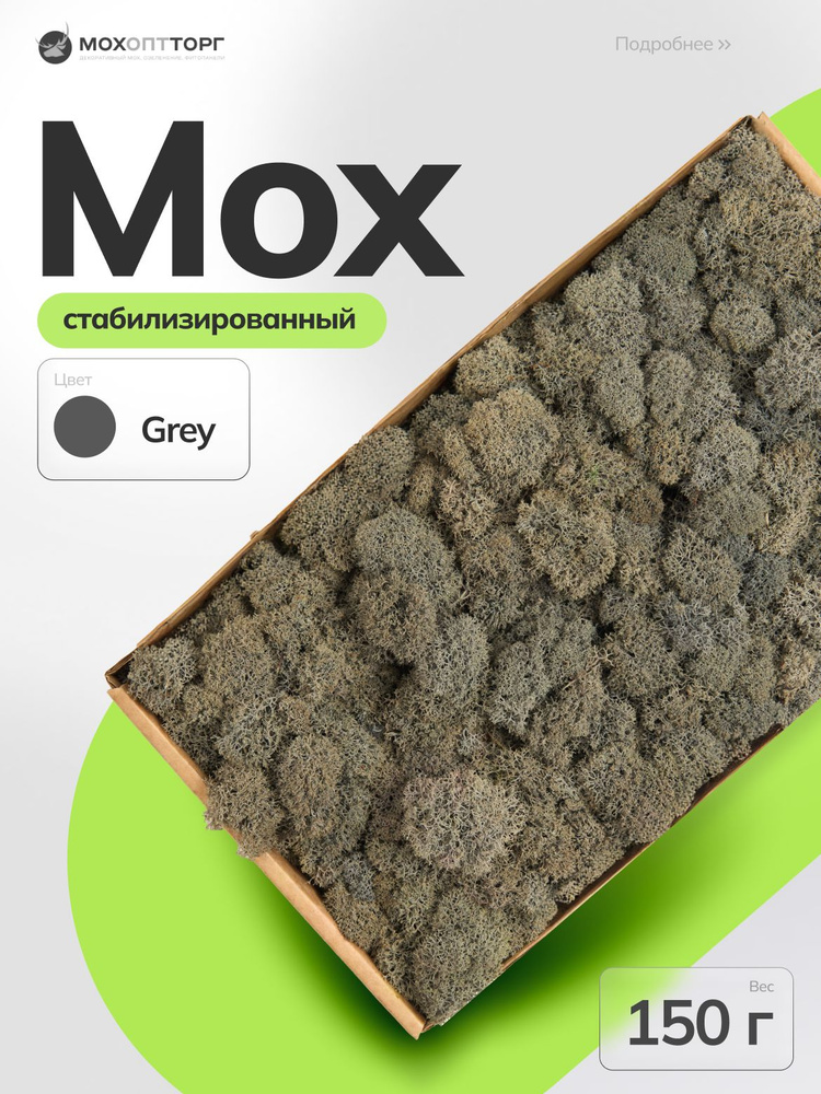 МОХОПТТОРГ Стабилизированный мох Мох, 7 см, 150 гр, 1 шт купить на OZON ...