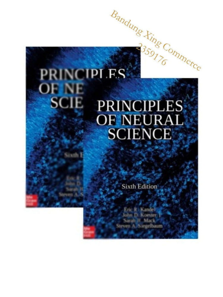 Principles of Neural Science 6th /бумажная книга купить на OZON по ...