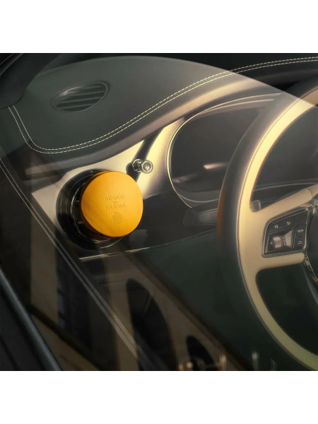 Acqua Di Parma Ароматизатор автомобильный, лимон купить на OZON по низкой цене (2760783646)