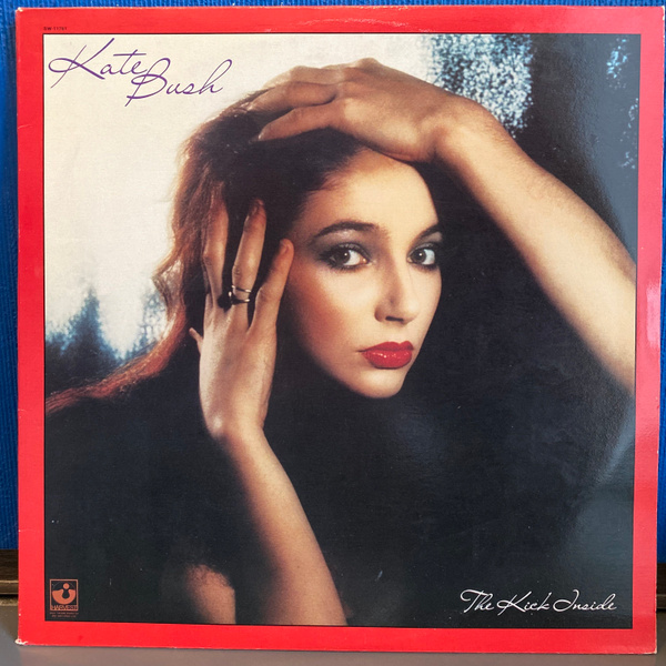 Kate Bush. The Kick Inside (EX+) ПЕРВОПРЕСС! 1978 (LP) Виниловая пластинка купить на OZON по ...