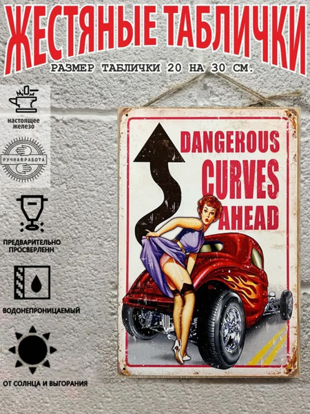 Табличка металлическая интерьерная Pin-Up Девушка Пинап купить на OZON по низкой цене (3115496981)