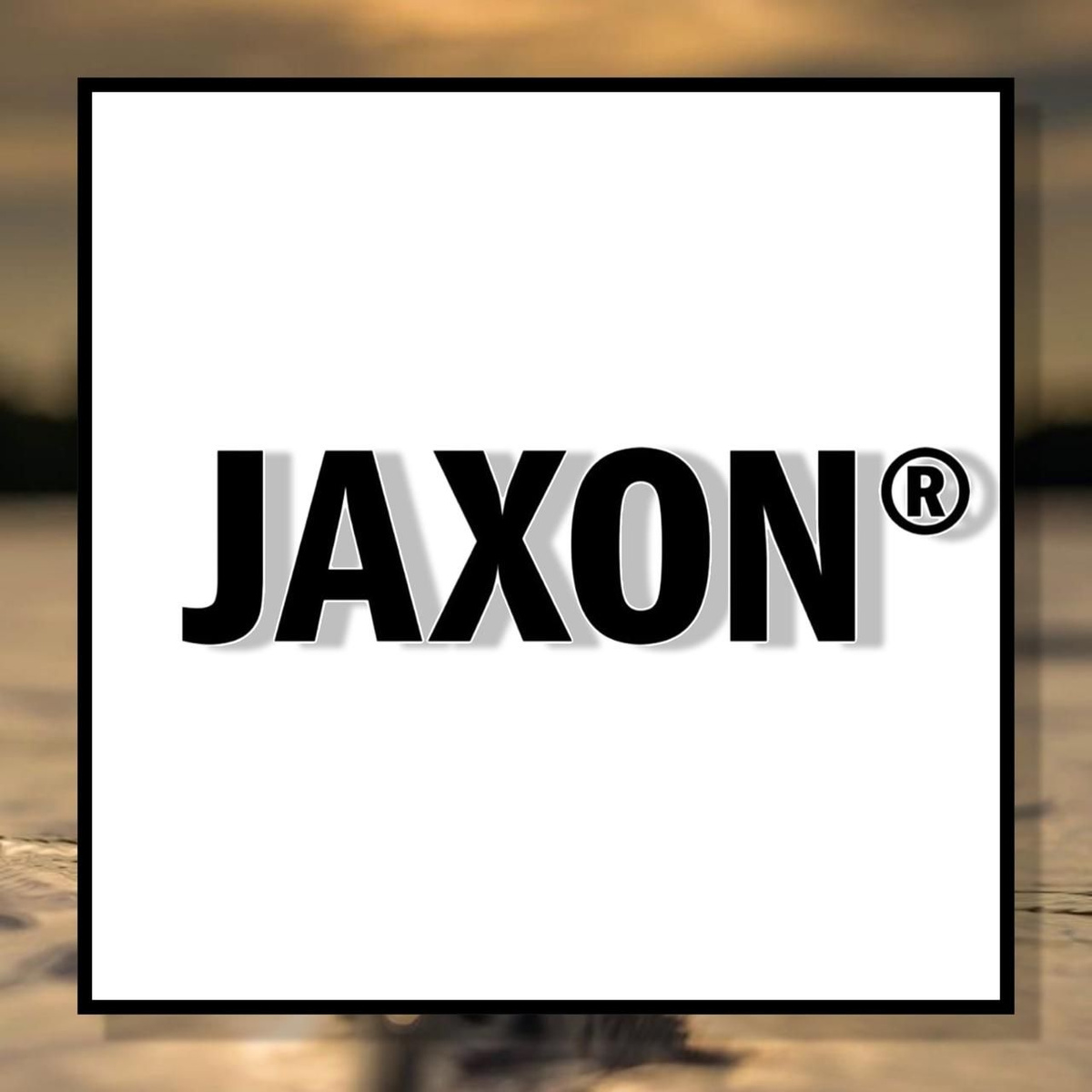 Катушка Jaxon Rondon XT, Безынерционная, 2000, Задний фрикцион купить c ...