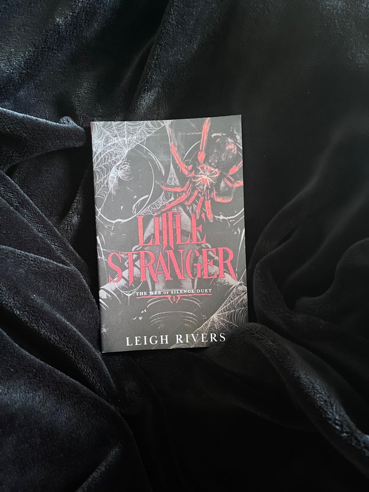 Little Stranger: A Dark Taboo Romance (The Web of Silence Duet) купить ...