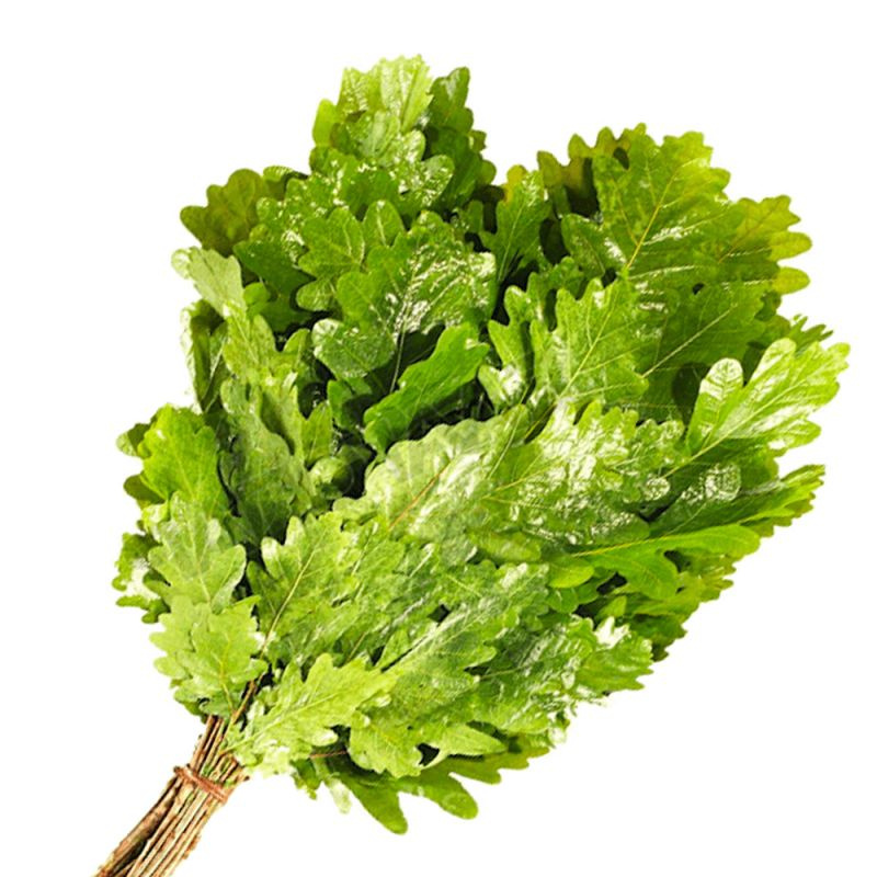 Веник из дуба для парения в бане и сауне - Веник для бани, купить в ...