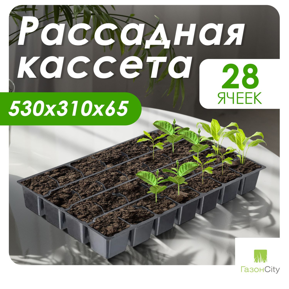 Кассета рассадная ГазонCity 28 ячеек, квадрат купить по низкой цене в ...