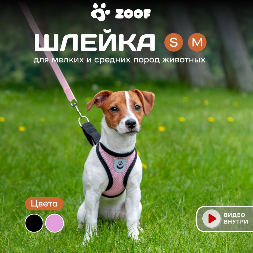 Шлейка ZOOF анатомическая для собак и кошек мелких и средних пород с ...