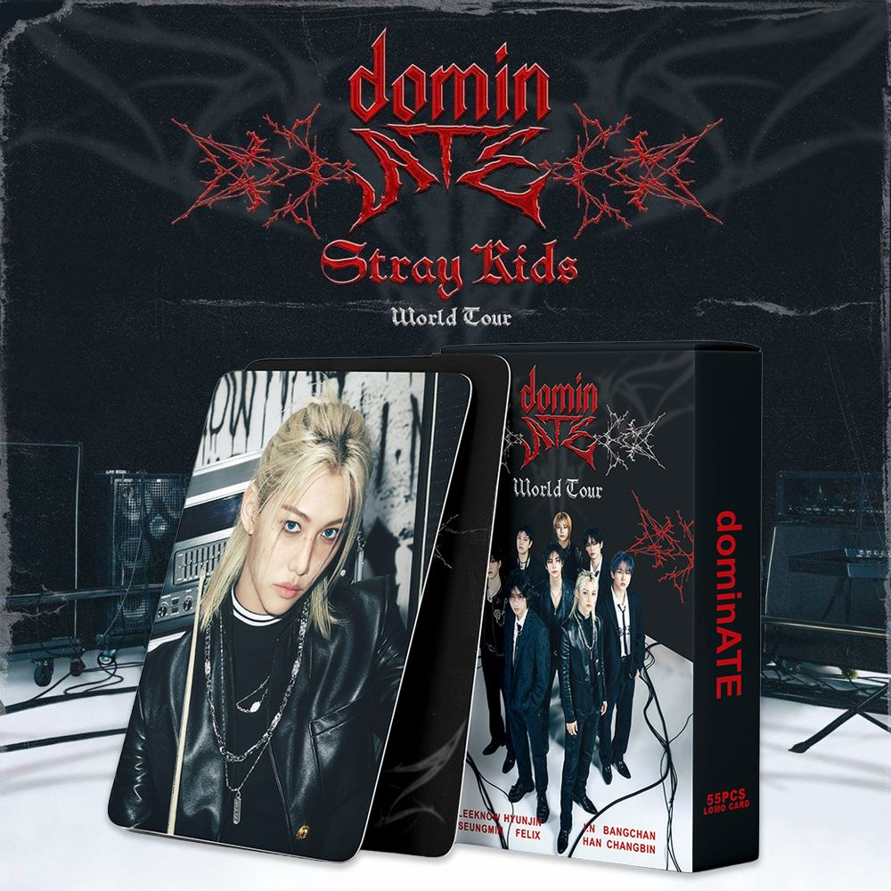 STRAY KIDS LOMO Cards 55 шт. Альбом K-POP DOMINATE Мини STRAYKIDS Фотокарточки 2024 WorldTour ...